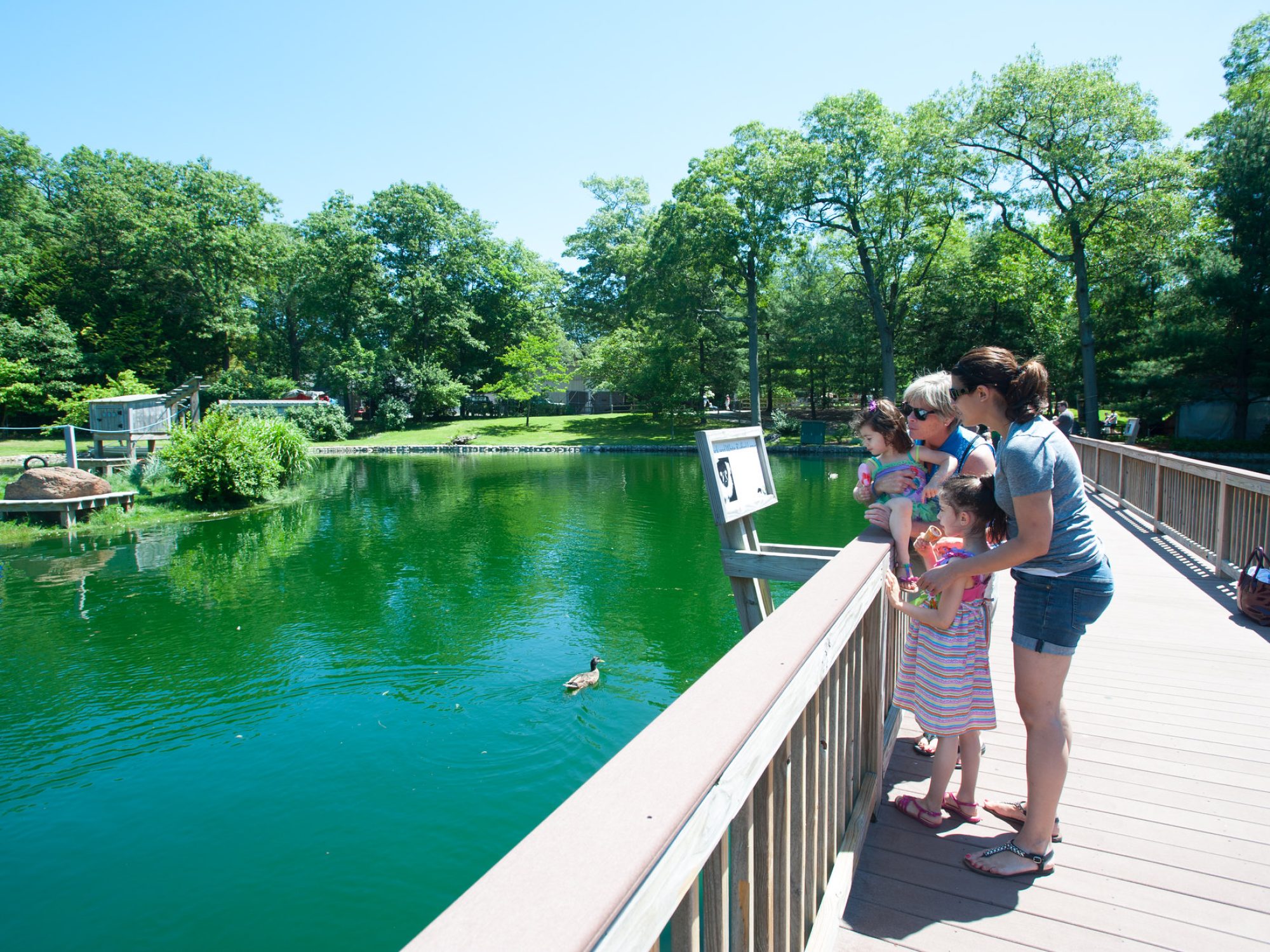 Providence/Stoughton Line on the Commuter Rail
