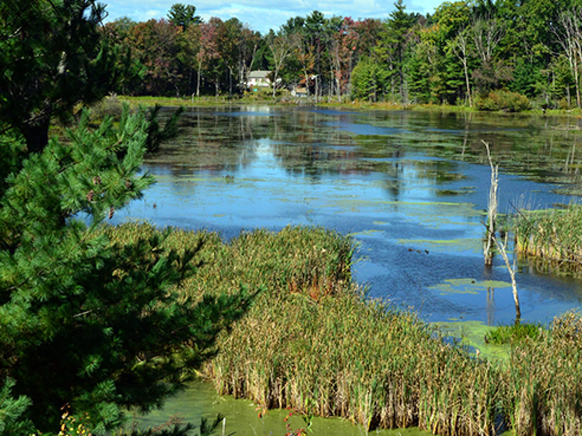 Fitchburg Line on the Commuter Rail