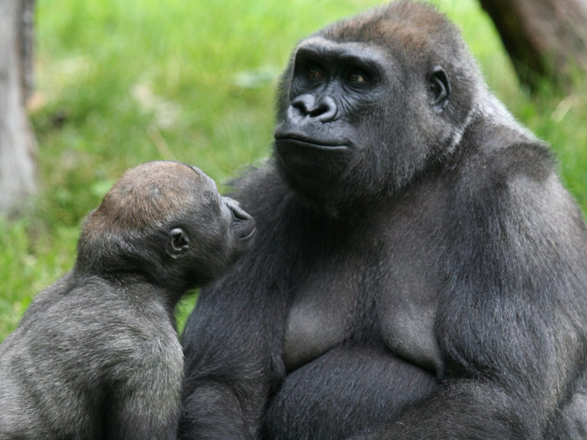 Needham Line on the Commuter Rail