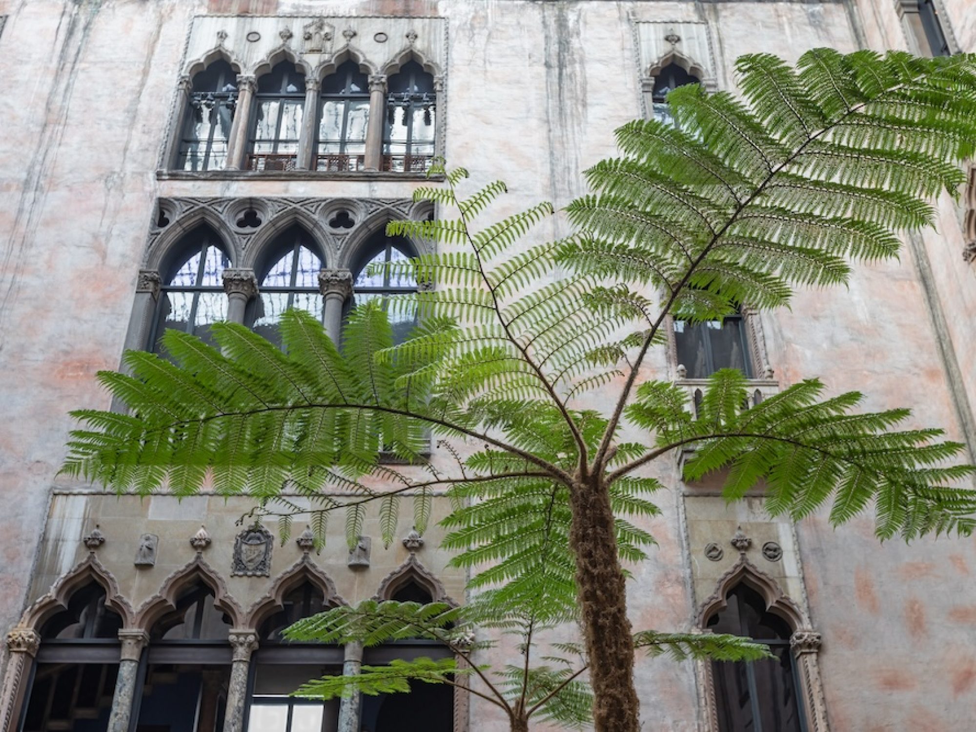 Needham Line on the Commuter Rail