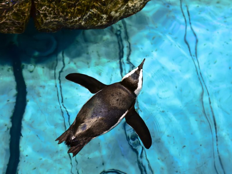 Kingston Line on the Commuter Rail