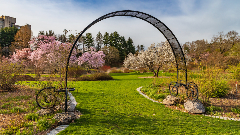 Explore the Beautiful Parks and Gardens of the Needham Line