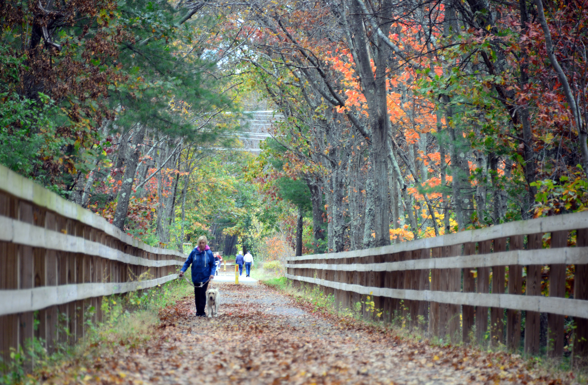 Hiking & Rail Trails Along the Commuter Rail